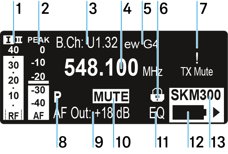 Receiver Parameters standard display